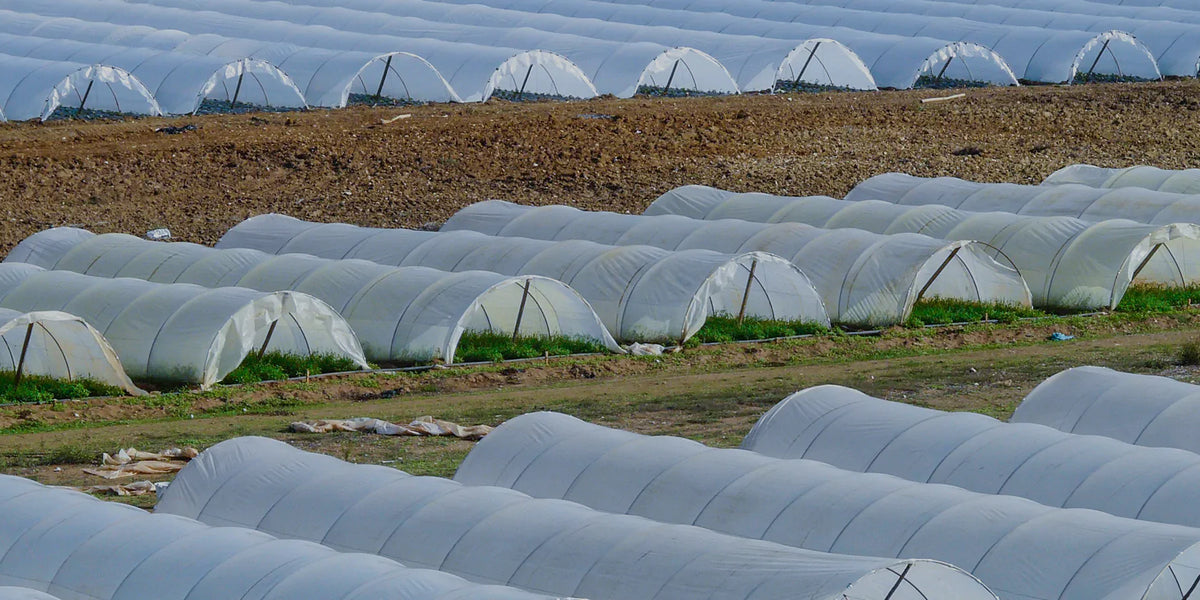 Inline Duct Fan Controller — INKBIRD AUSTRALIA