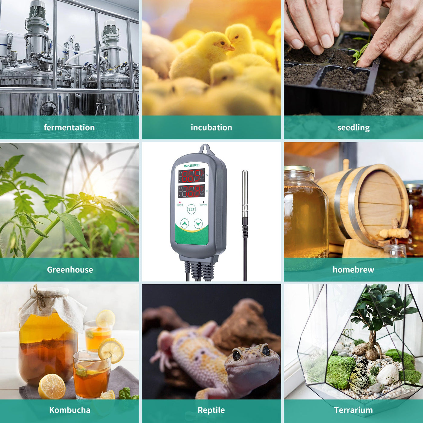 INKBIRD 10A Digital 2-Stage Homebrew Temperature Controller ITC-308 — INKBIRD AUSTRALIA